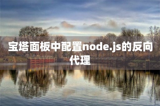 宝塔面板中配置node.js的反向代理 - IPIPGO