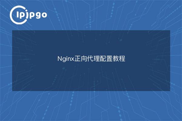 Nginx Forward Proxy Configuration Tutorial - IPIPGO