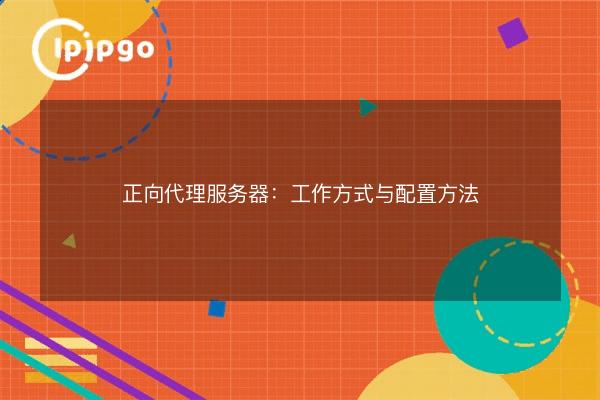 Forward Proxy Servers: How They Work and How to Configure Them - IPIPGO