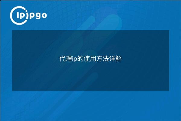 代理ip的使用方法详解 - IPIPGO