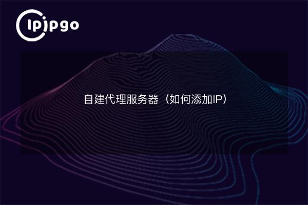 Build Your Own Proxy Server (How to Add IPs) - IPIPGO