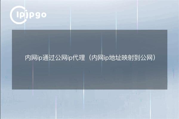 Intranet ip through public ip proxy (mapping of intranet ip address to public network) - IPIPGO