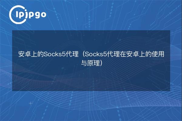 安卓上的Socks5代理（Socks5代理在安卓上的使用与原理） - IPIPGO