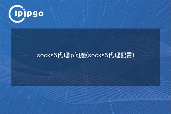 socks5代理ip问题(socks5代理配置) - IPIPGO