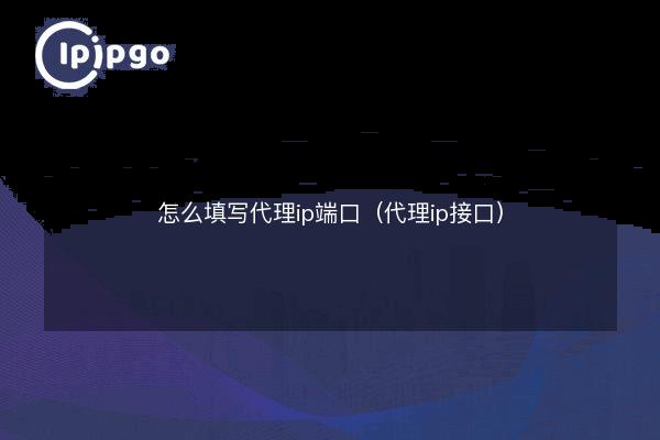 How to fill in proxy ip port (proxy ip interface) - IPIPGO