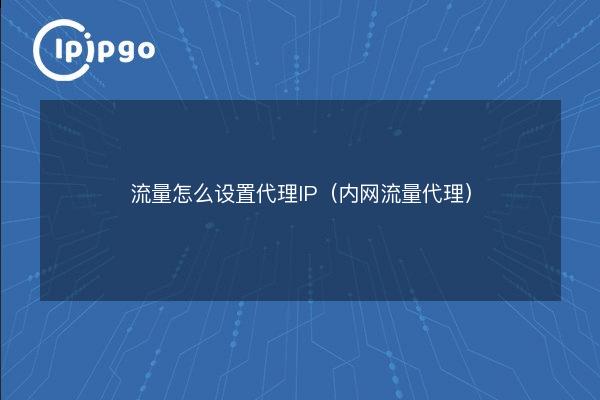 流量怎么设置代理IP（内网流量代理） - IPIPGO