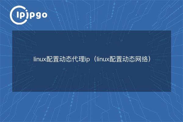 linux配置动态代理ip（linux配置动态网络） - IPIPGO