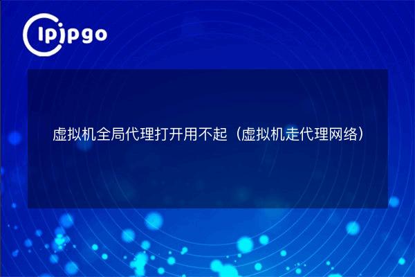 VM Global Proxy Open Doesn't Work (VM Goes Proxy Networking) - IPIPGO