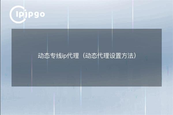 Dynamic private line ip proxy (dynamic proxy setting method) - IPIPGO