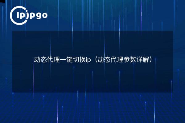 动态代理一键切换ip（动态代理参数详解） - IPIPGO