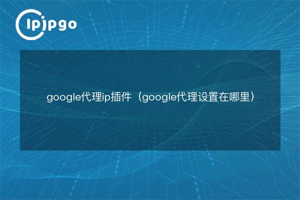 google proxy ip plugin (where to set google proxy) - IPIPGO