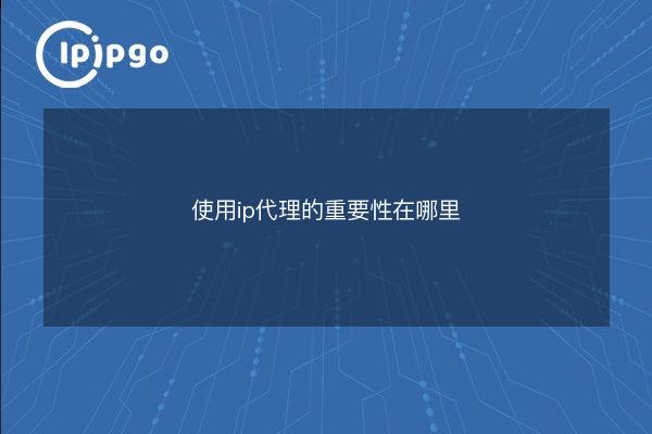 使用ip代理的重要性在哪里 - IPIPGO