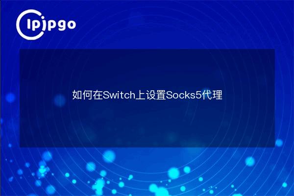 How to set up a Socks5 proxy on a Switch - IPIPGO