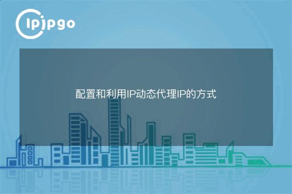 Ways to Configure and Utilize IP Dynamic Proxy IPs - IPIPGO