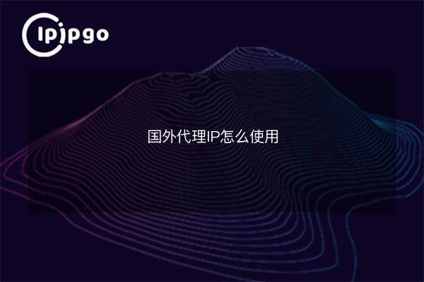 How to Use Domestic Proxy IP - IPIPGO