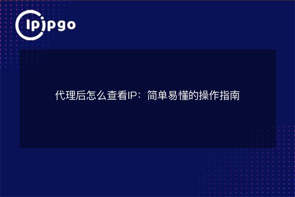 代理后怎么查看IP：简单易懂的操作指南 - IPIPGO