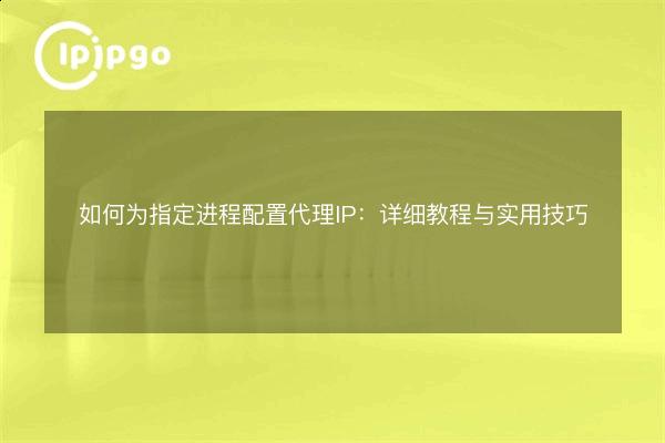 如何为指定进程配置代理IP：详细教程与实用技巧 - IPIPGO
