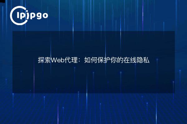 探索Web代理：如何保护你的在线隐私 - IPIPGO
