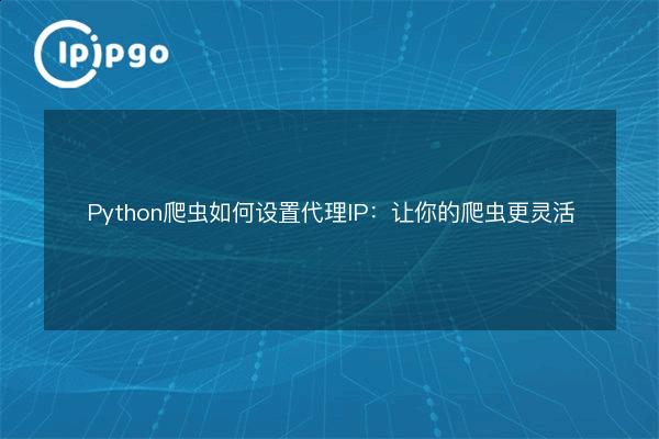 Python爬虫如何设置代理IP：让你的爬虫更灵活 - IPIPGO