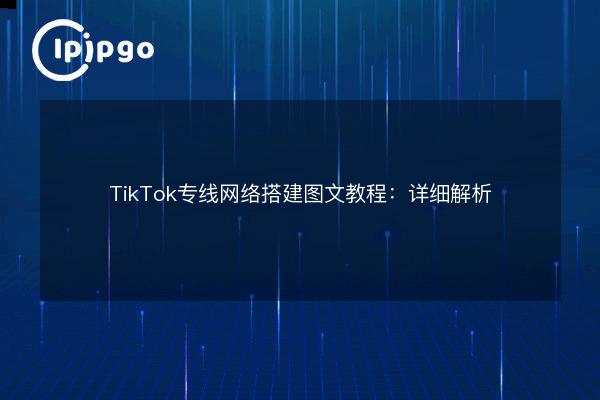 TikTok专线网络搭建图文教程：详细解析 - IPIPGO