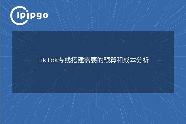 TikTok专线搭建需要的预算和成本分析 - IPIPGO