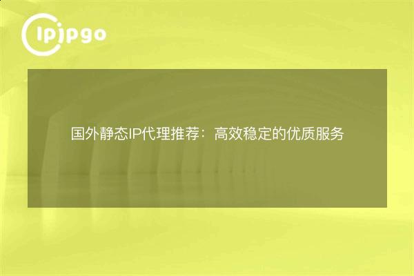 国内静态IP代理推荐：高效稳定的优质服务 - IPIPGO