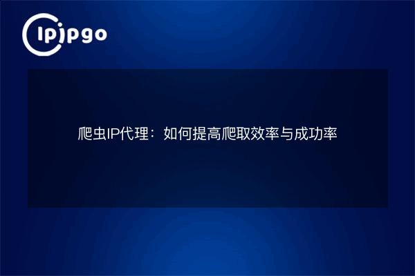 Crawler IP Proxy: How to Improve Crawling Efficiency and Success Rate - IPIPGO