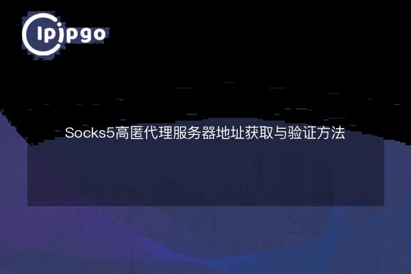 Socks5高匿代理服务器地址获取与验证方法 - IPIPGO
