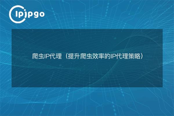 Crawler IP Proxy (IP Proxy Strategy to Improve Crawler Efficiency) - IPIPGO