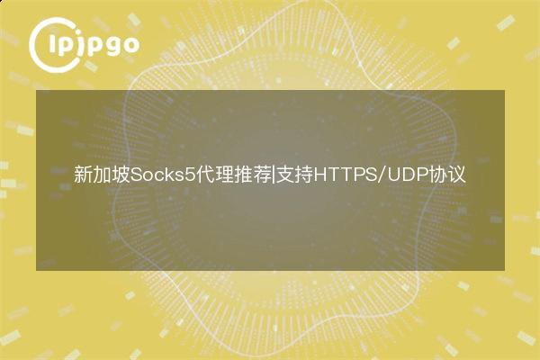 Singapore Socks5 Proxy Recommendation | HTTPS/UDP Support - IPIPGO