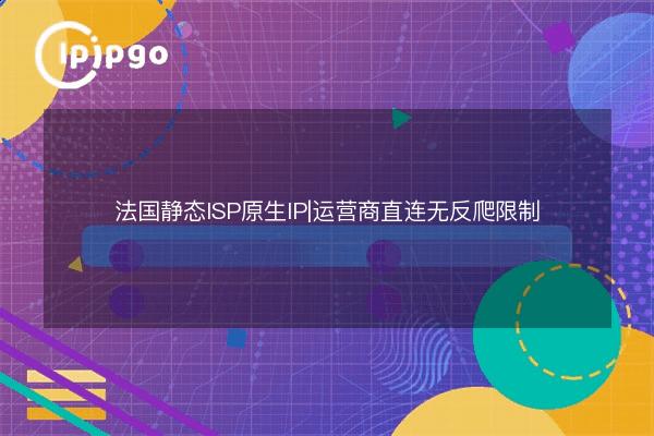 法国静态ISP原生IP|运营商直连无反爬限制 - IPIPGO