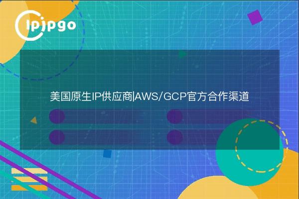 美国原生IP供应商|AWS/GCP官方合作渠道 - IPIPGO