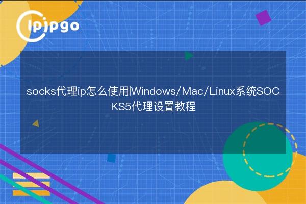 socks proxy ip how to use | Windows/Mac/Linux system SOCKS5 proxy setup tutorial - IPIPGO