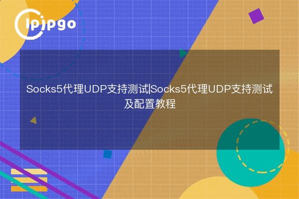 Socks5代理UDP支持测试|Socks5代理UDP支持测试及配置教程 - IPIPGO