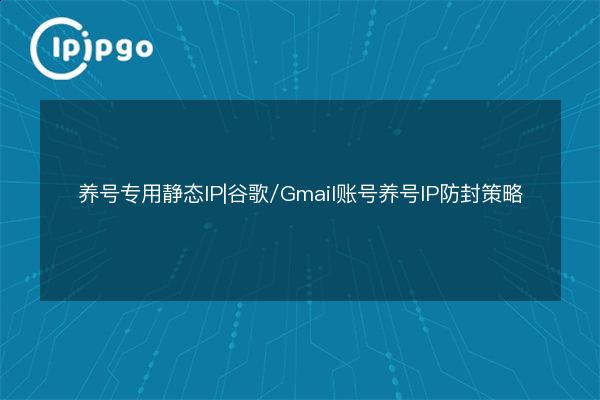 养号专用静态IP|谷歌/Gmail账号养号IP防封策略 - IPIPGO