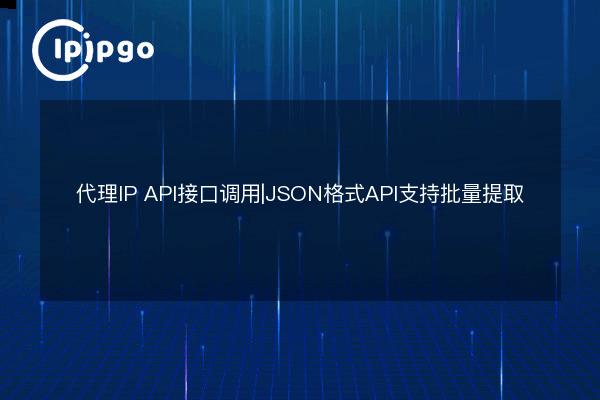 代理IP API接口调用|JSON格式API支持批量提取 - IPIPGO