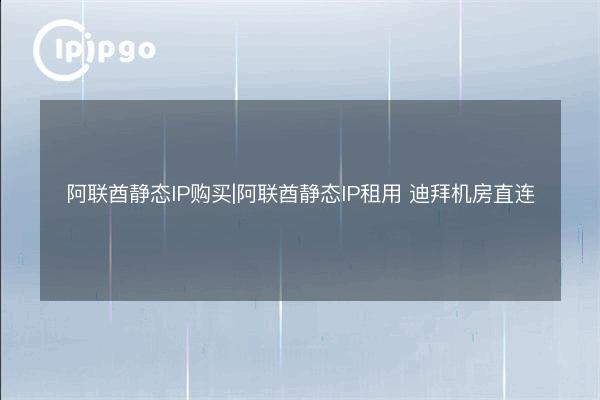 阿联酋静态IP购买|阿联酋静态IP租用 迪拜机房直连 - IPIPGO