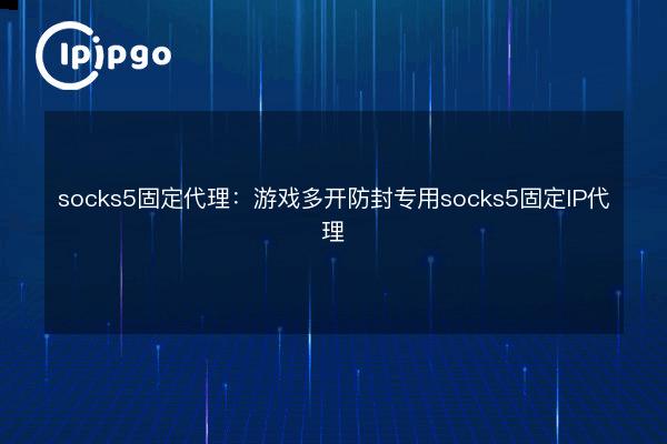 socks5固定代理：游戏多开防封专用socks5固定IP代理 - IPIPGO