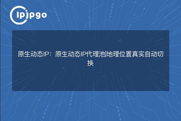 Native Dynamic IP: Native Dynamic IP Proxy Pool | Geolocation Realistic Auto Switching - IPIPGO