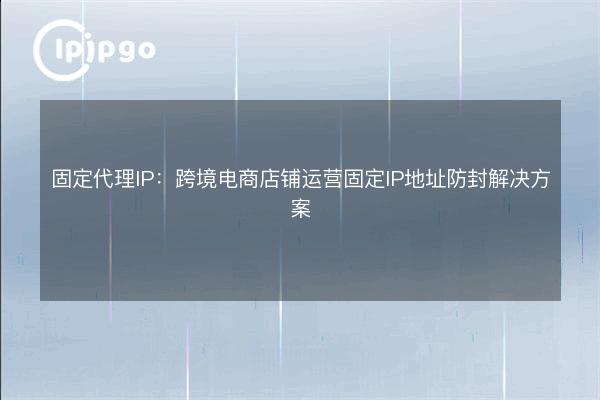 固定代理IP：跨境电商店铺运营固定IP地址防封解决方案 - IPIPGO