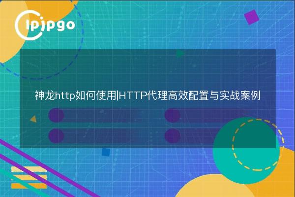 神龙http如何使用|HTTP代理高效配置与实战案例 - IPIPGO