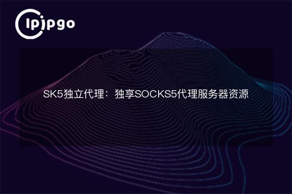 SK5独立代理：独享SOCKS5代理服务器资源 - IPIPGO