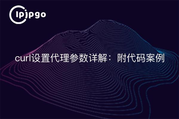 curl设置代理参数详解：附代码案例 – IPIPGO