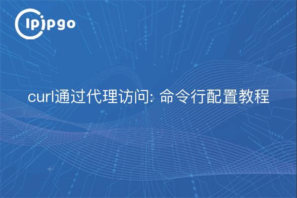 curl通过代理访问: 命令行配置教程 - IPIPGO