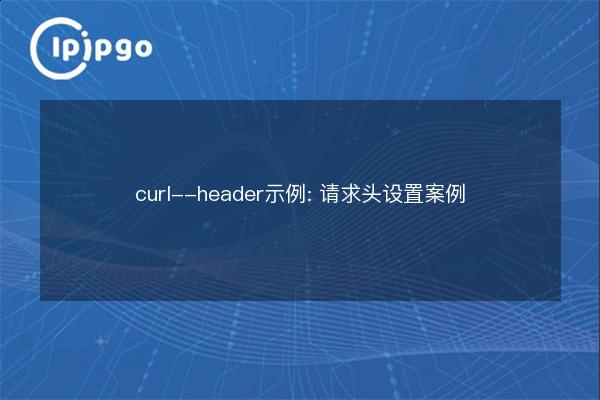 curl-header示例: 请求头设置案例 - IPIPGO