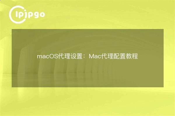 macOS代理设置：Mac代理配置教程 - IPIPGO