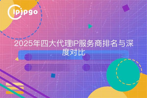 2025年四大代理IP服务商排名与深度对比 - IPIPGO