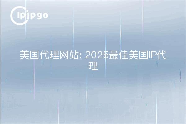 美国代理网站: 2025最佳美国IP代理 - IPIPGO