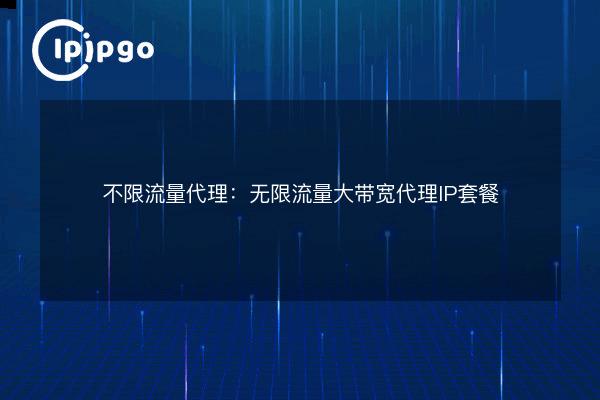 不限流量代理：无限流量大带宽代理IP套餐 - IPIPGO