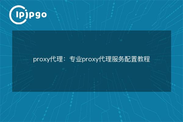 Proxy Proxy: Professional Proxy Proxy Service Configuration Tutorial - IPIPGO